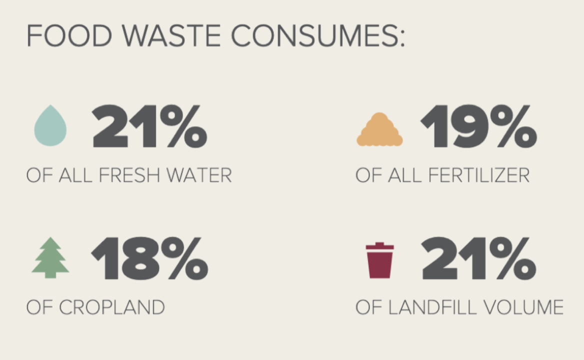 Food Freshness Card – Natures Frequencies